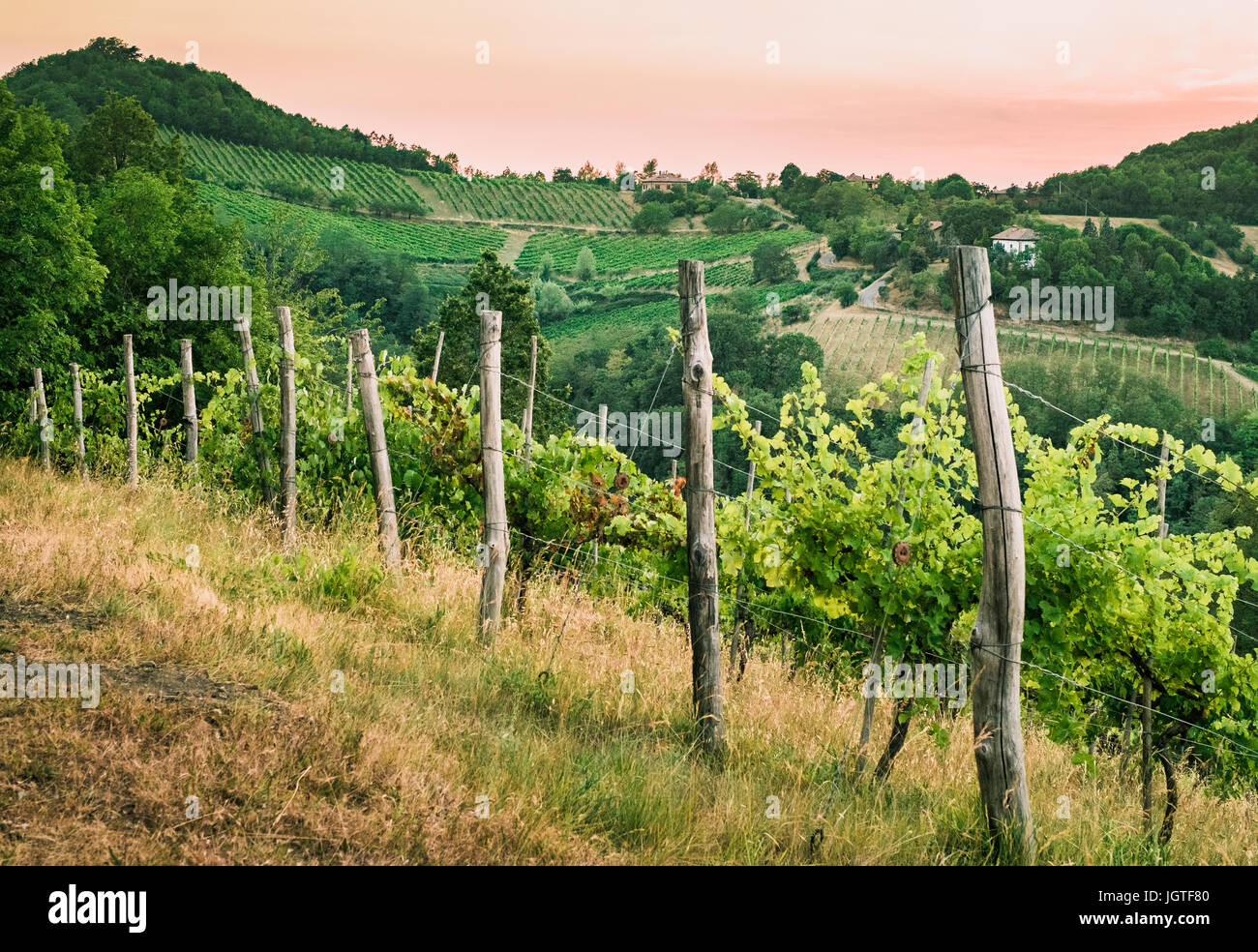 Vignobles en pente Banque de photographies et d’images à haute ...