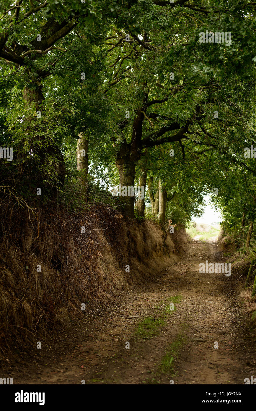 Route dans un ravin Banque de photographies et d’images à haute ...