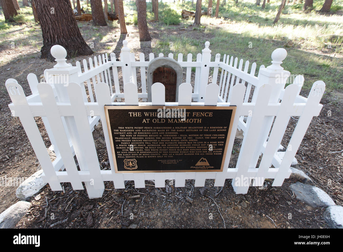 Julia townsend mammoth Banque de photographies et d’images à haute ...