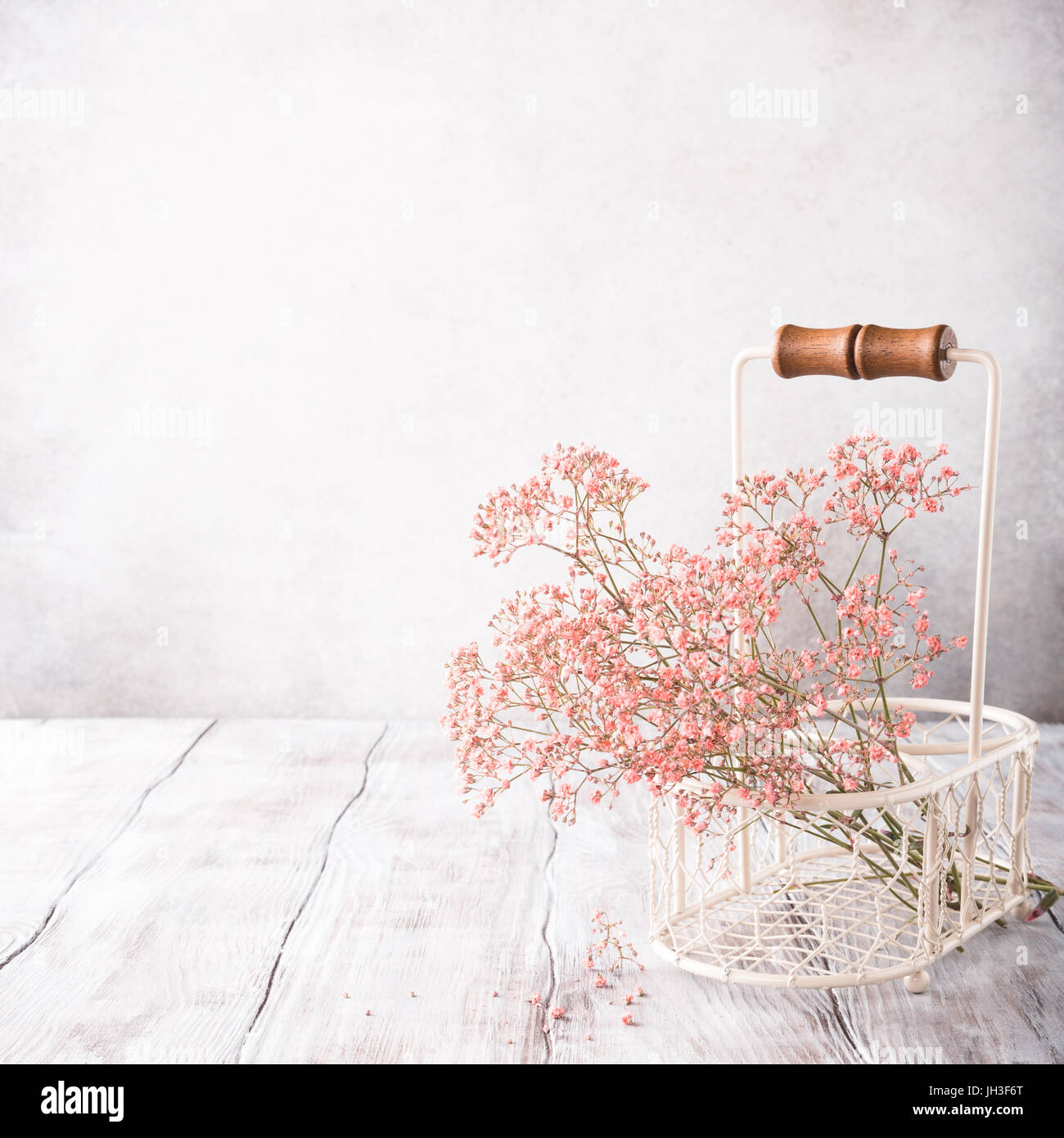 Gypsophile rose Banque de photographies et d’images à haute résolution ...