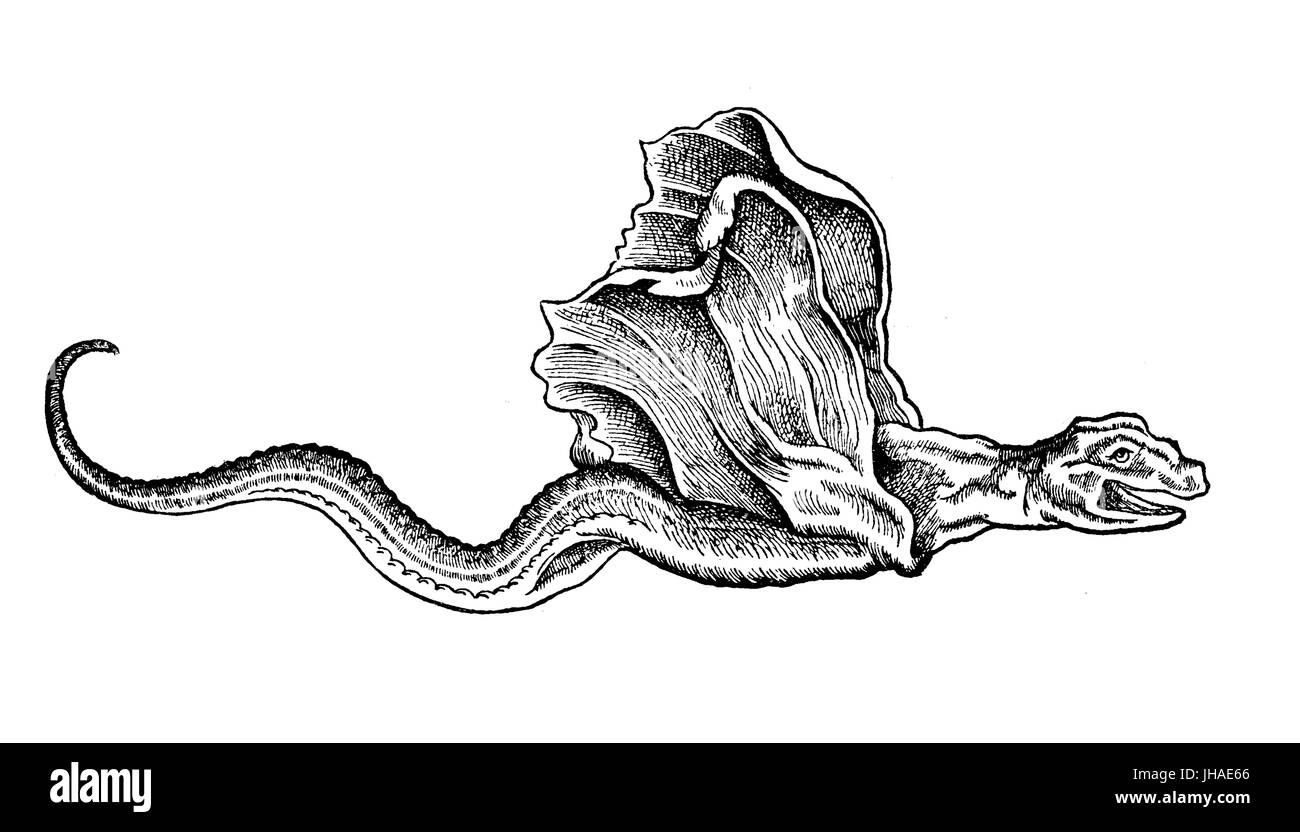 Poisson monstre aquatique fantastique Banque d'images détourées - Alamy