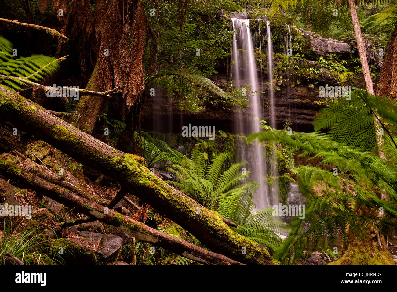 Mount field national park Banque de photographies et d’images à haute ...