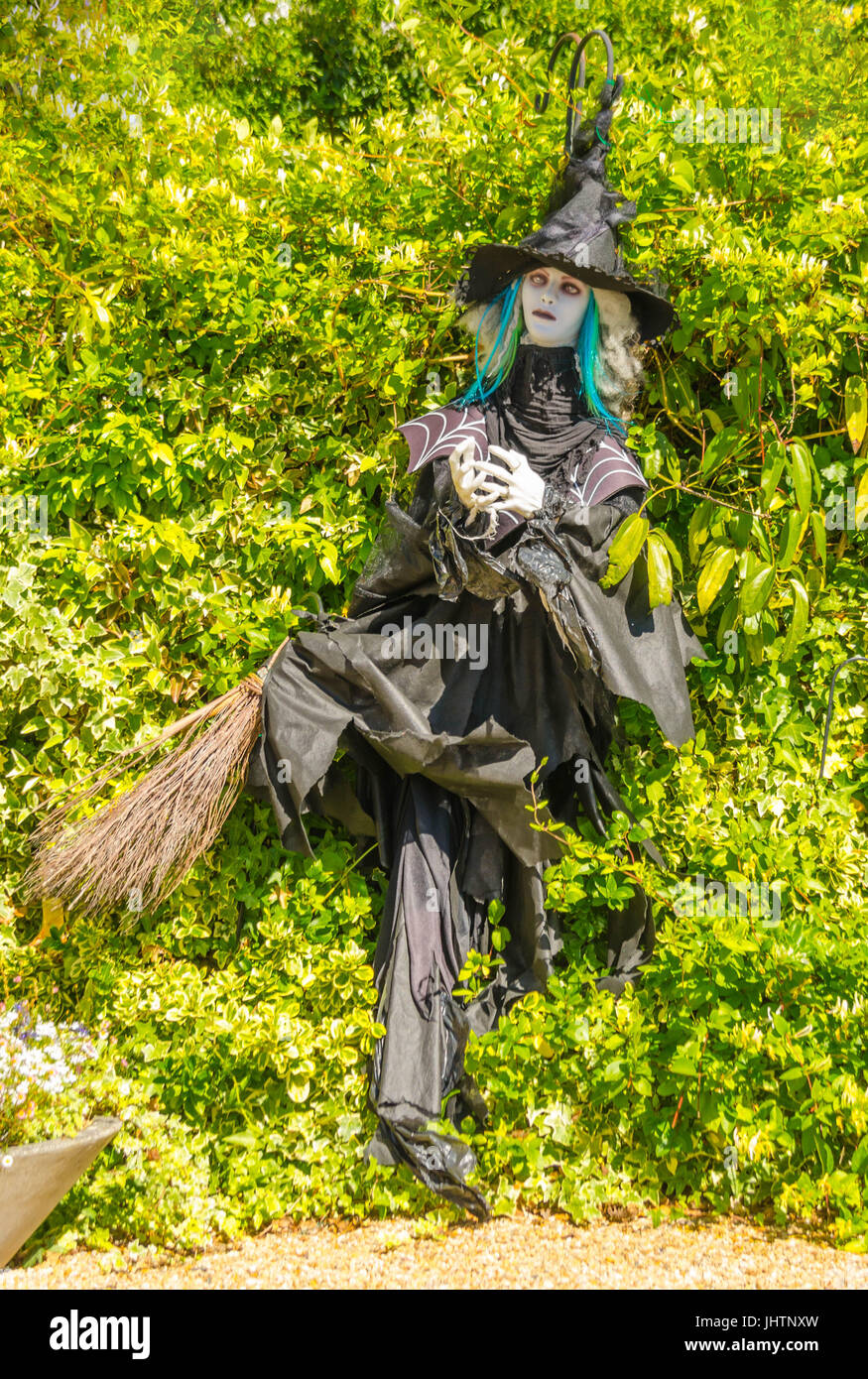 Sorcière mannequin placé dans hedge à Talaton Festival d'épouvantails ...
