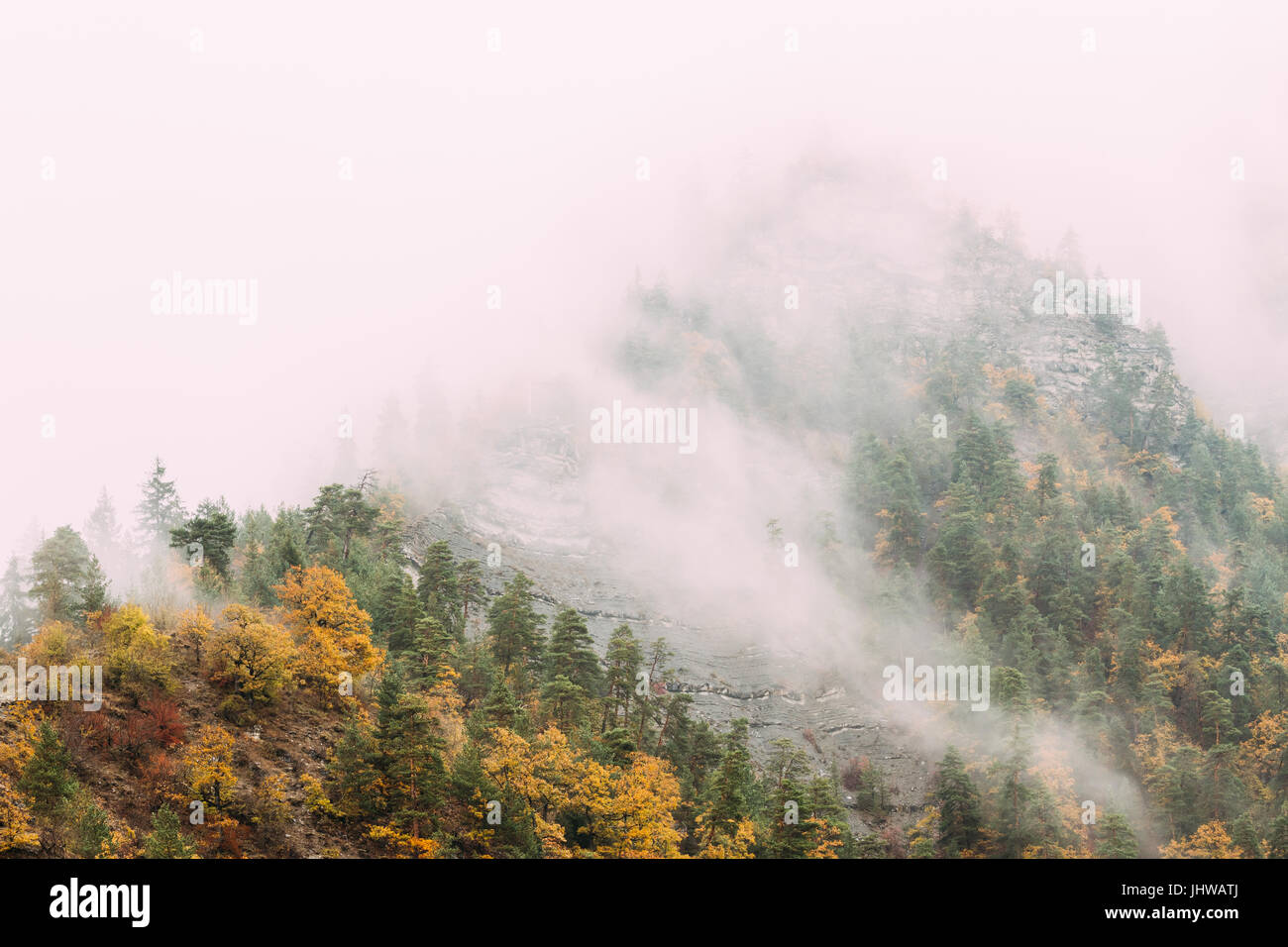 Borjomi nature reserve Banque de photographies et d’images à haute ...
