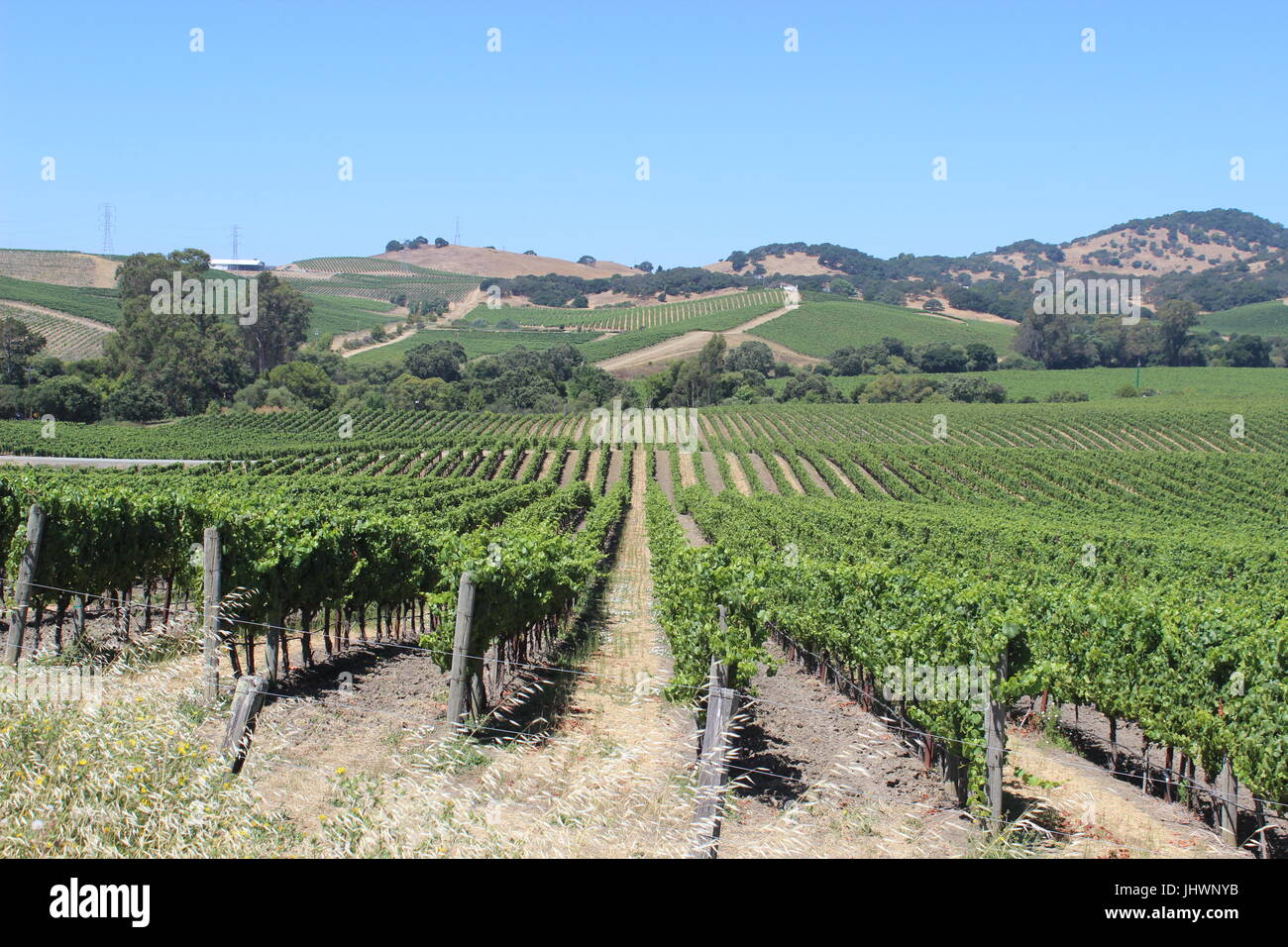Los Carneros Banque d'image et photos - Alamy