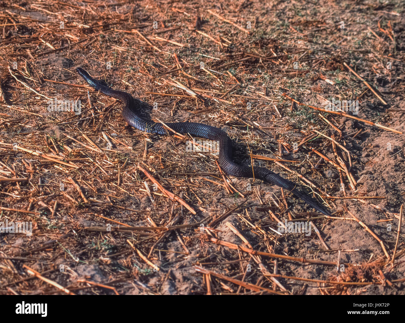 Indian sub continent Banque de photographies et d’images à haute ...