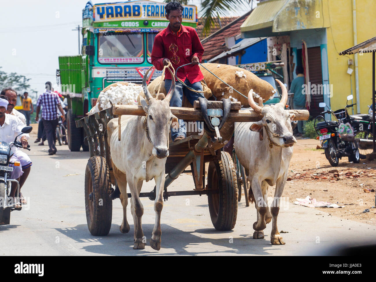 Bœufs et charrette Banque de photographies et d’images à haute résolution - Alamy