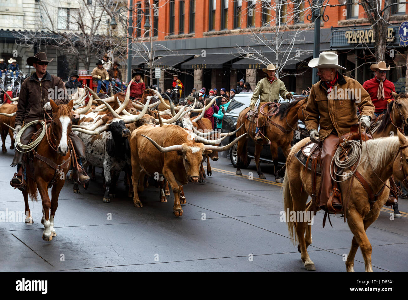 National western stock show Banque de photographies et d’images à haute ...