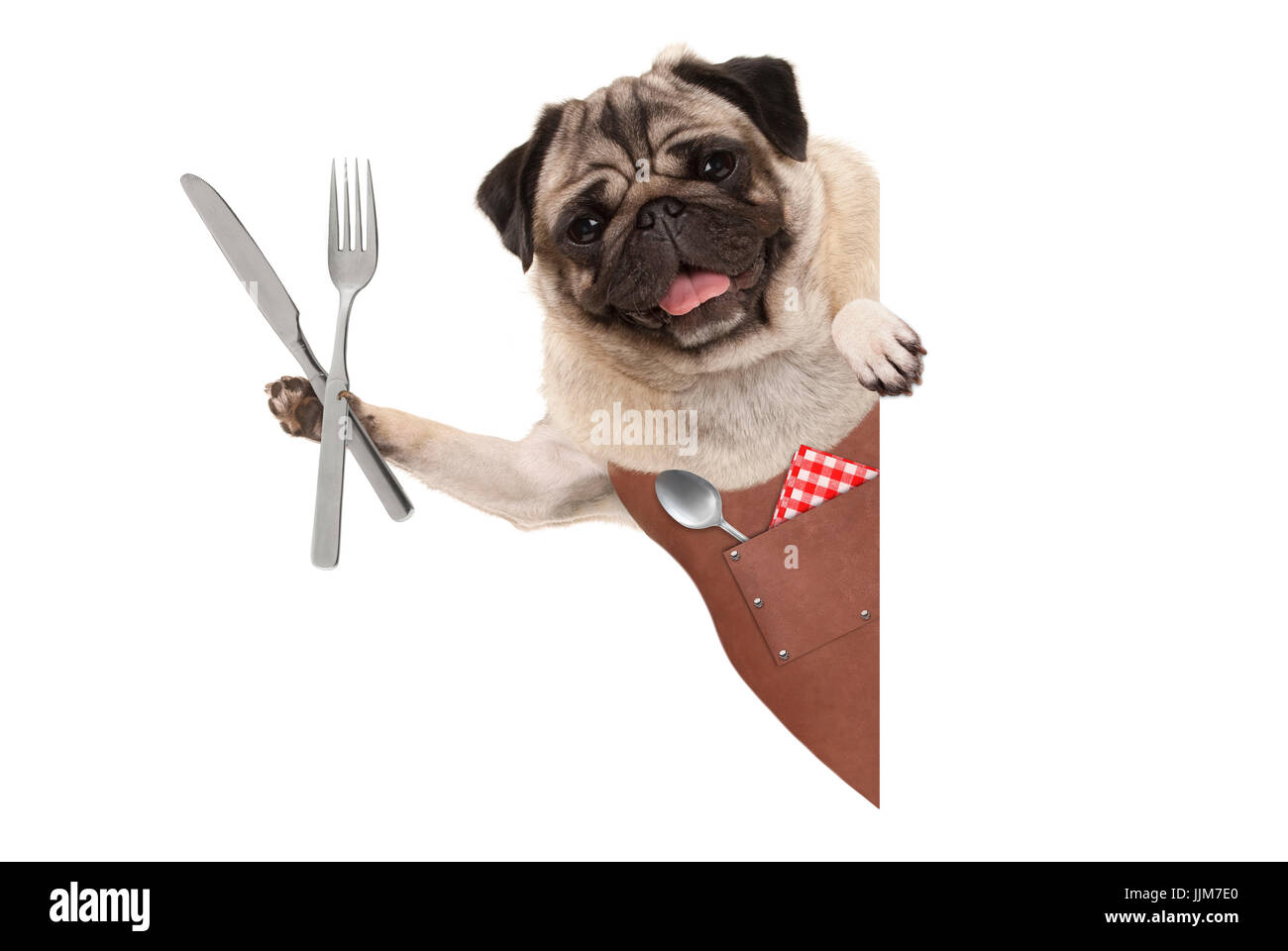 Pug dog wearing smiling tablier barbecue en cuir, tenant des couverts ...