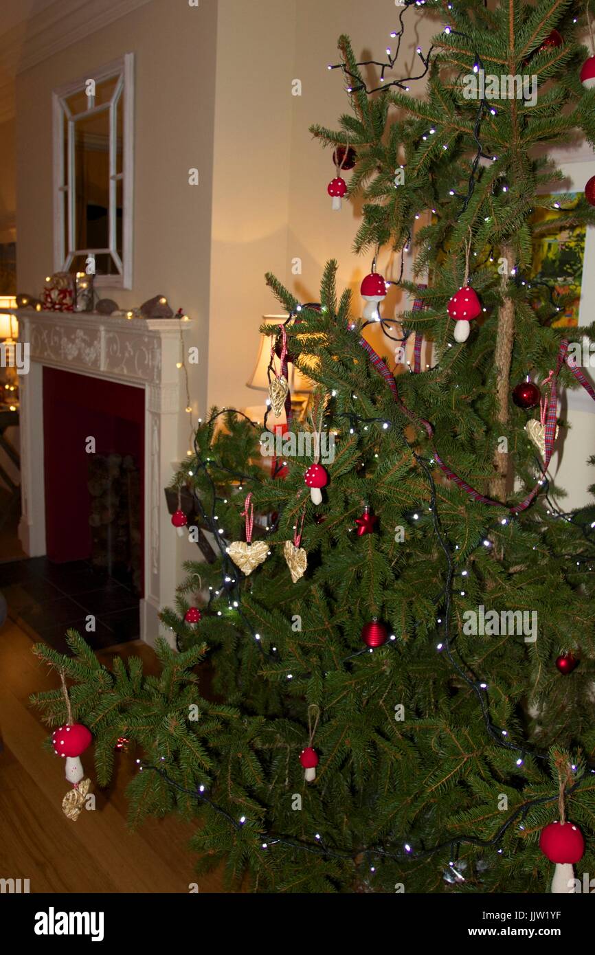 Foyer de noël Banque de photographies et d’images à haute résolution ...