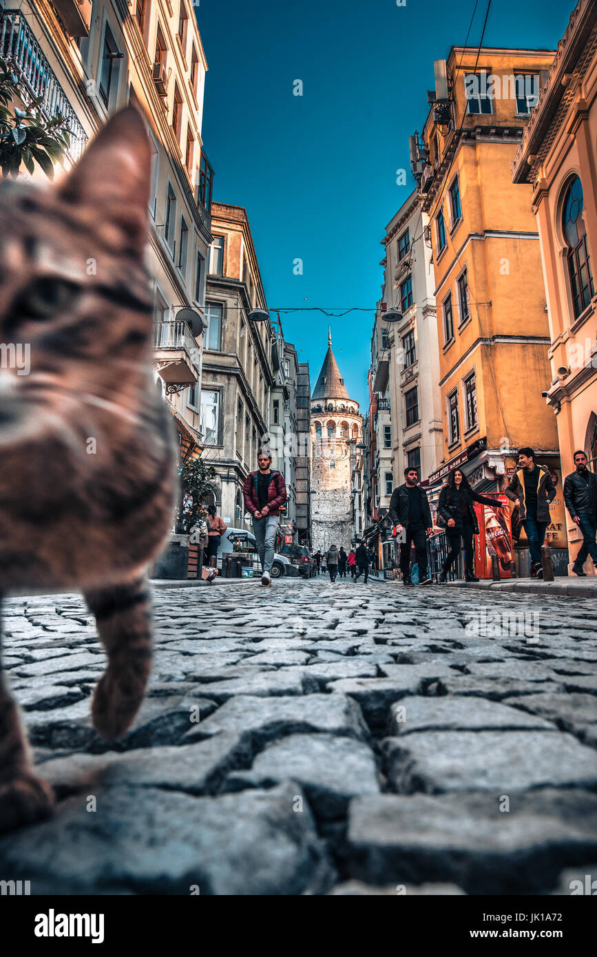 Vue sur la vieille rue étroite avec la tour de Galata (Galata Kulesi ...