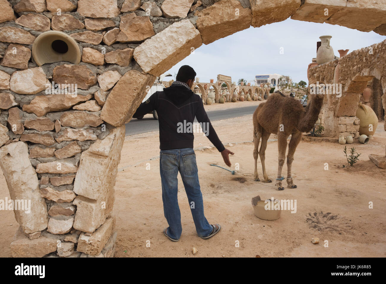 Donkey tunisian Banque de photographies et d’images à haute résolution - Alamy