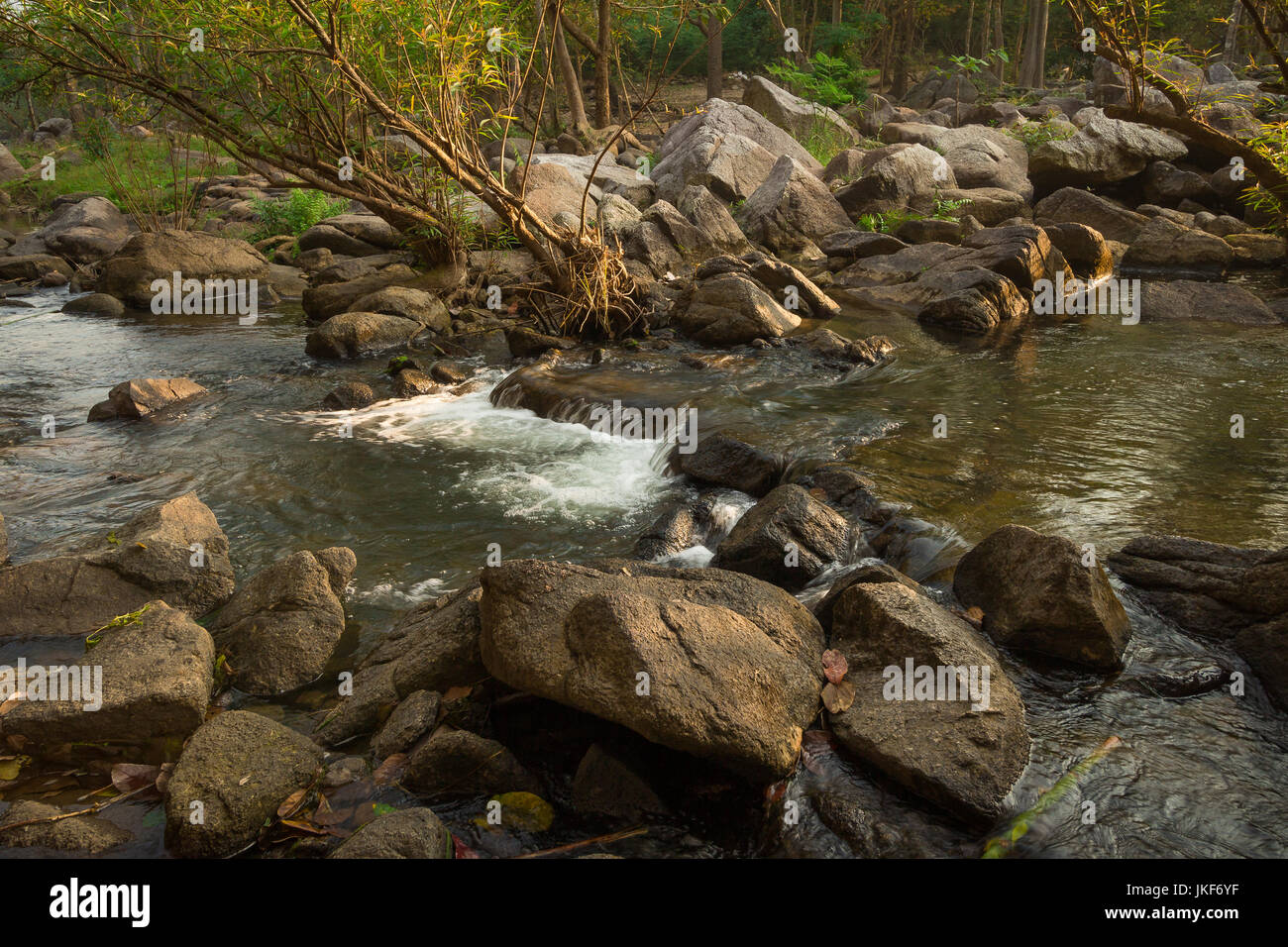 En zone tropicale Banque de photographies et d’images à haute ...