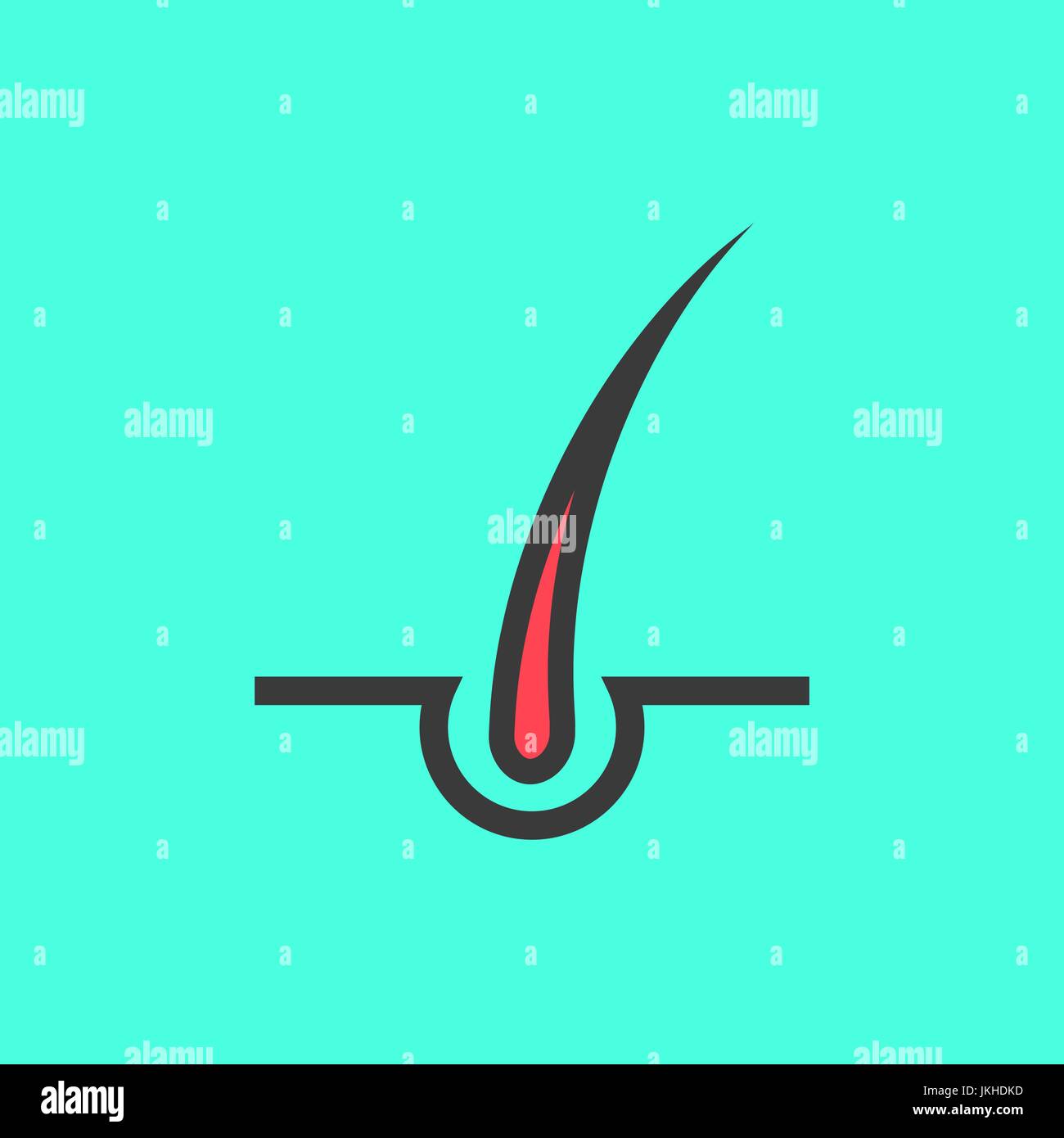 Follicule pileux cycle pilaire Banque d'images vectorielles - Alamy