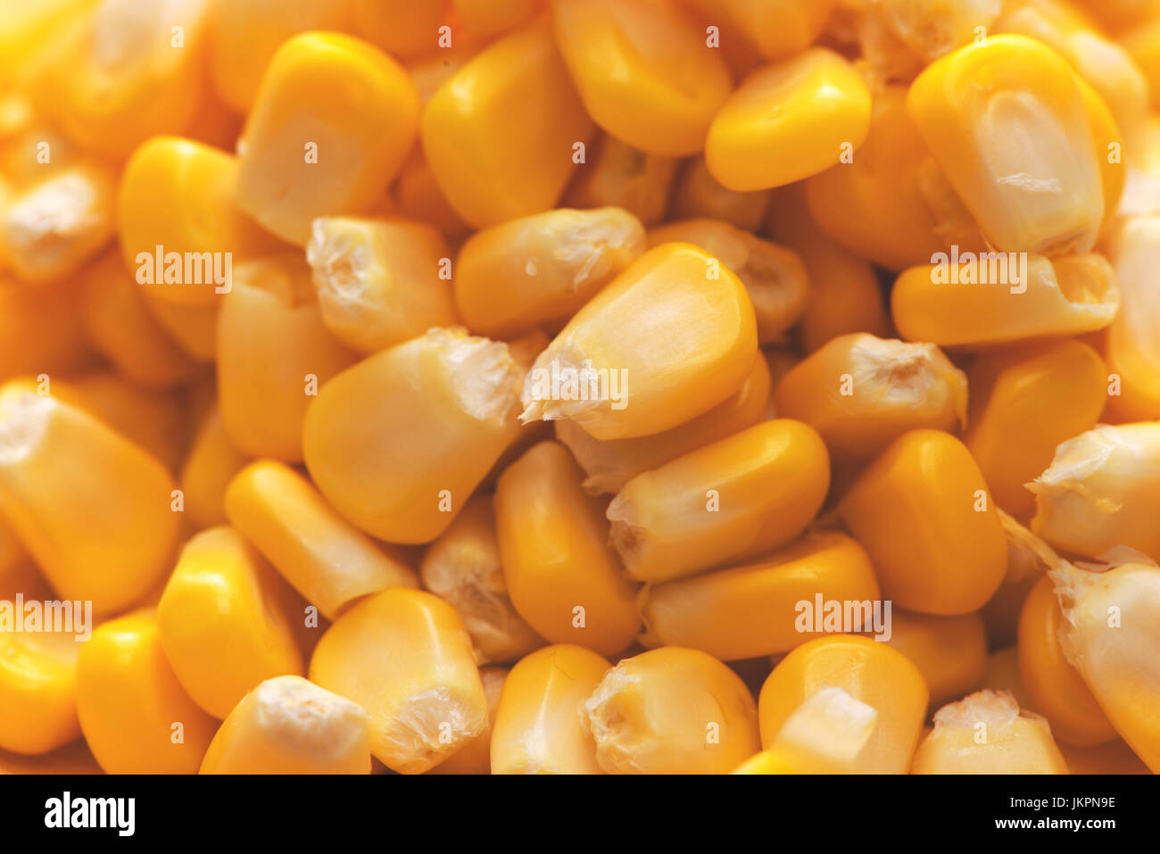 Yellow corn seeds Banque de photographies et d’images à haute ...