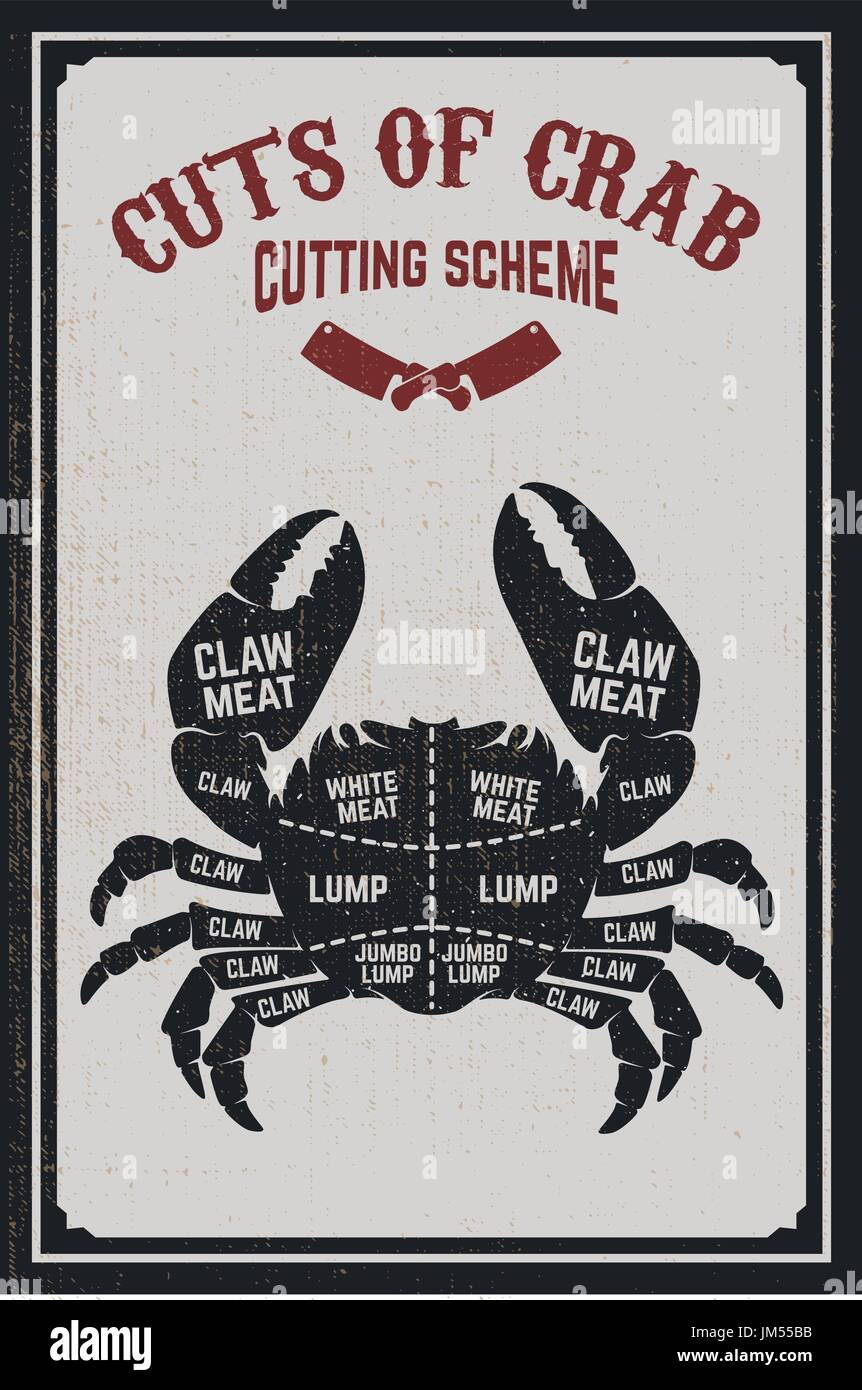 Découpe de la viande de crabe d'un réseau régional. Silhouette du crabe ...