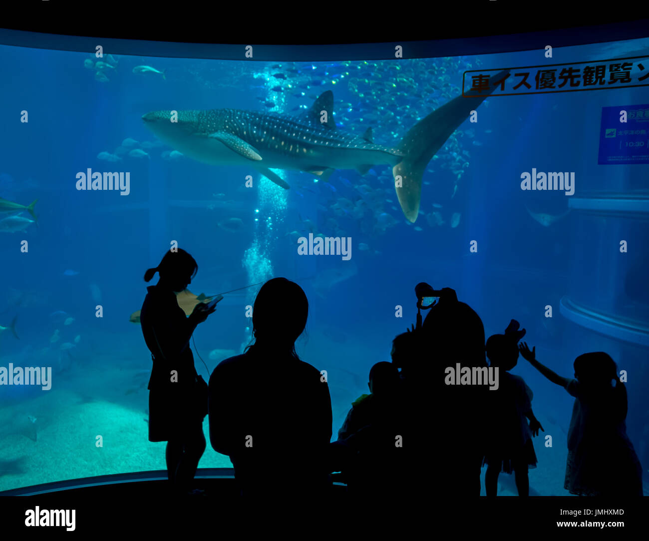 Whale shark kaiyukan Banque de photographies et d’images à haute ...