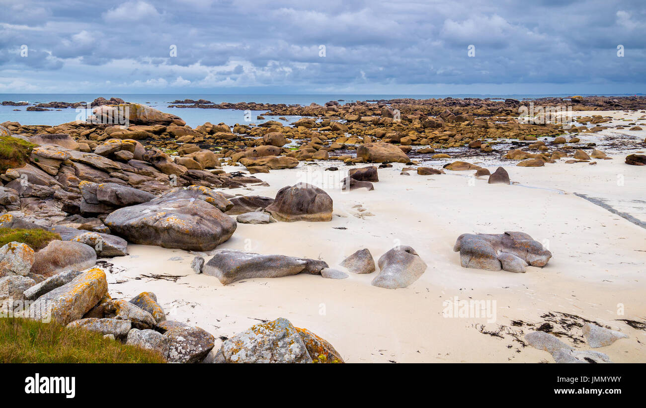 Algues vertes en bretagne Banque de photographies et d’images à haute ...