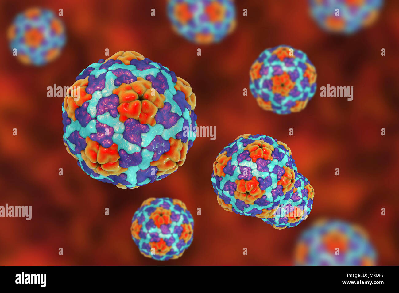 Lipoprotein envelope Banque de photographies et d’images à haute ...