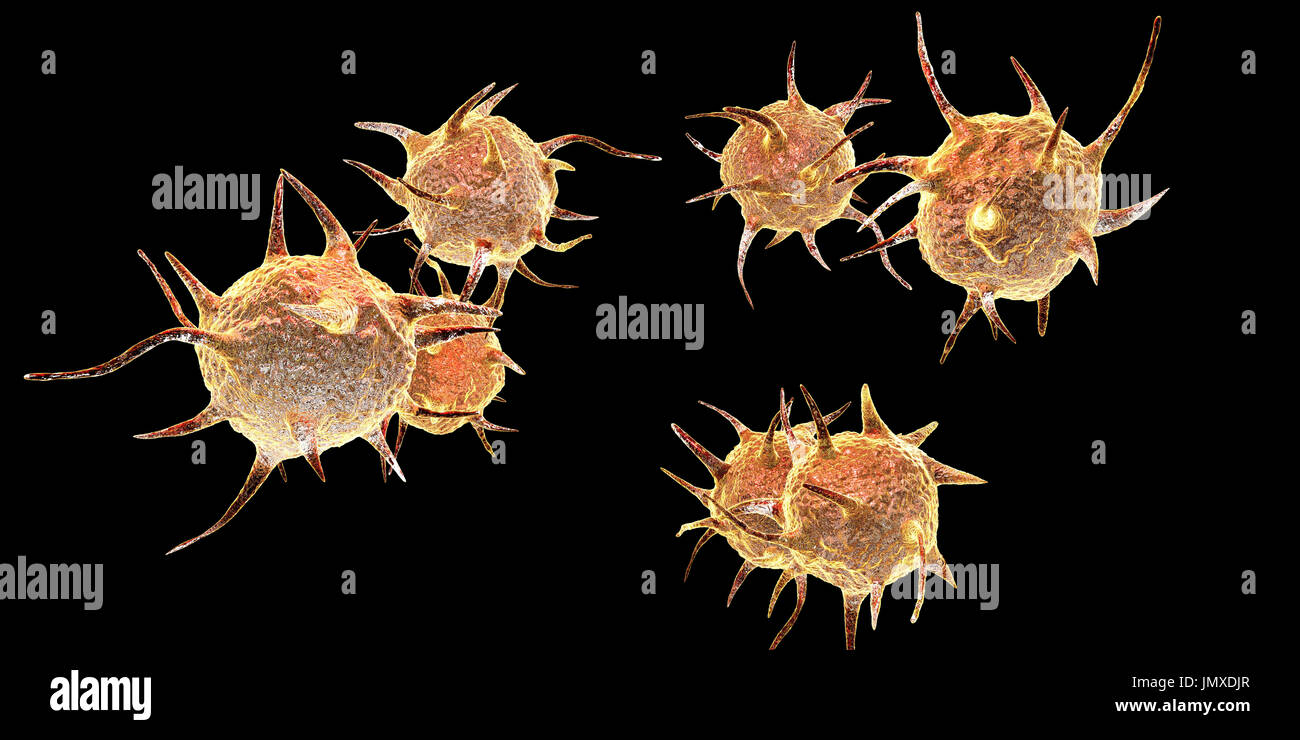 Microorganismes pathogènes Banque de photographies et d’images à haute ...
