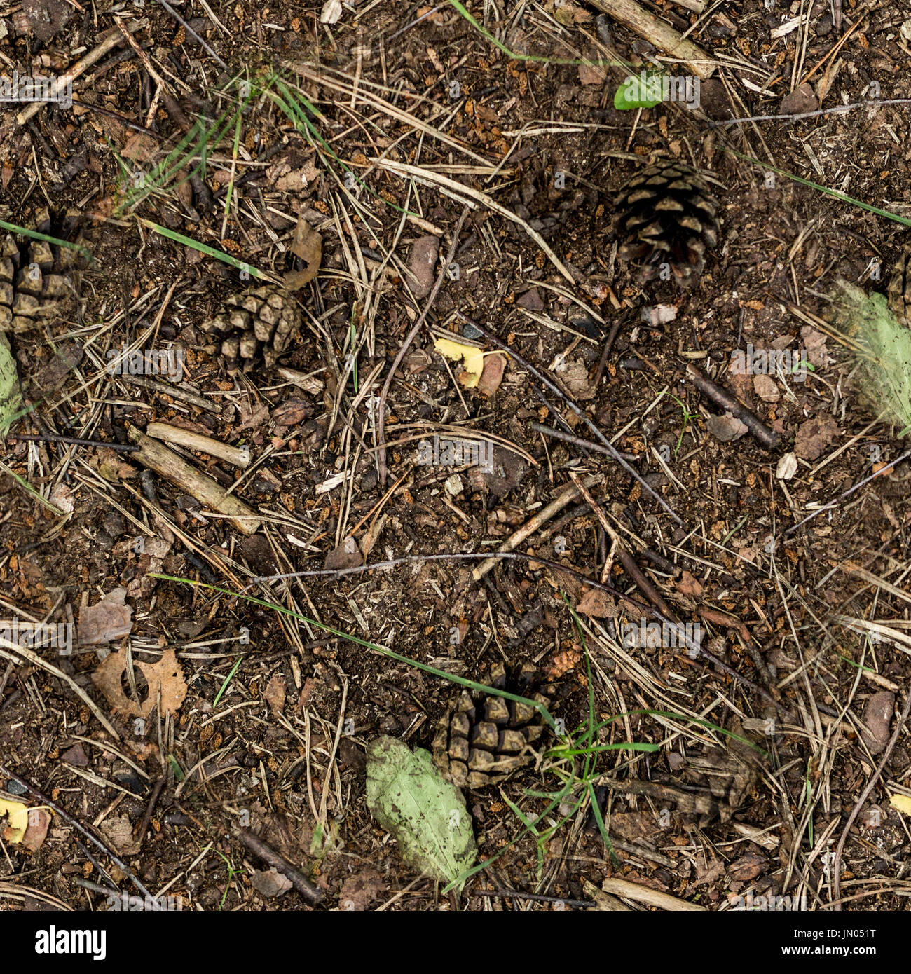 Forest soil seamless texture Banque de photographies et d’images à ...