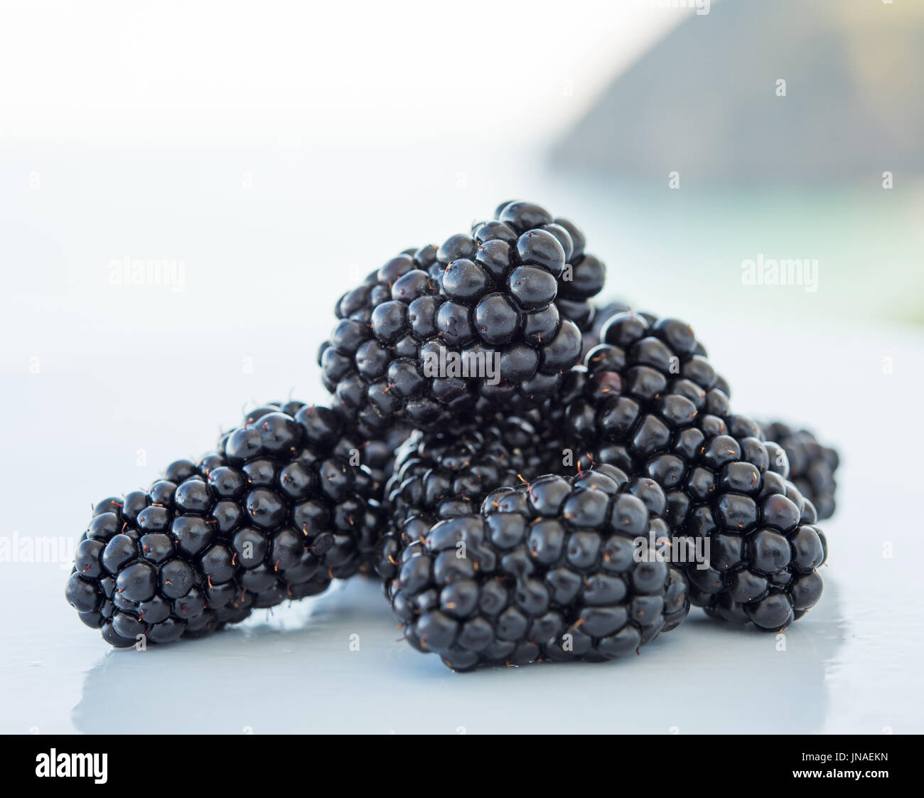 Mûres juteuses Banque de photographies et d’images à haute résolution ...