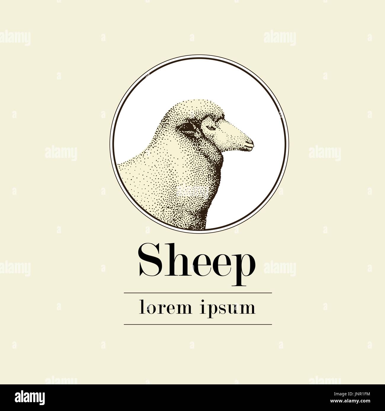 Mouton, modèle, logo vector hand drawn illustration Image Vectorielle ...