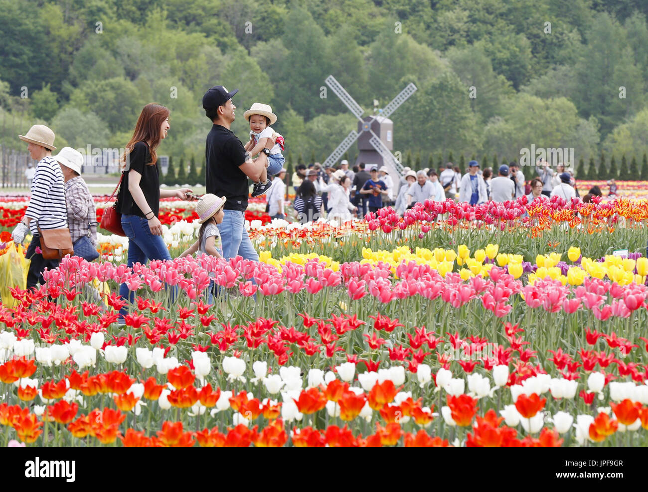 Promenade à travers les visiteurs Kamiyubetsu Tulip Park dans la ville ...