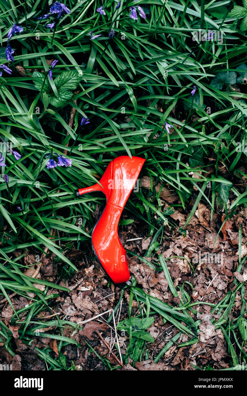 Talon aiguille Banque de photographies et d’images à haute résolution ...