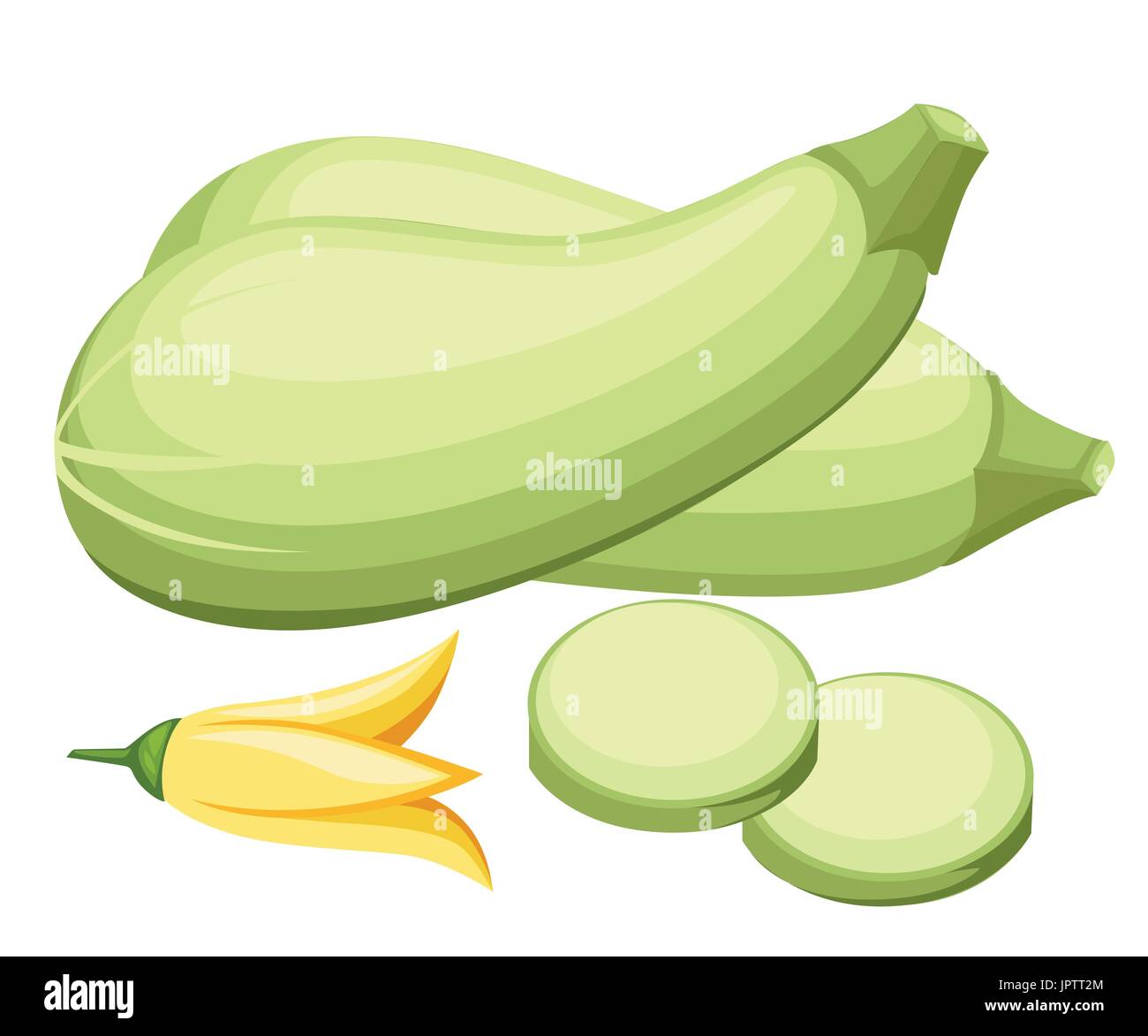 Courgette vector Banque d'images vectorielles - Alamy