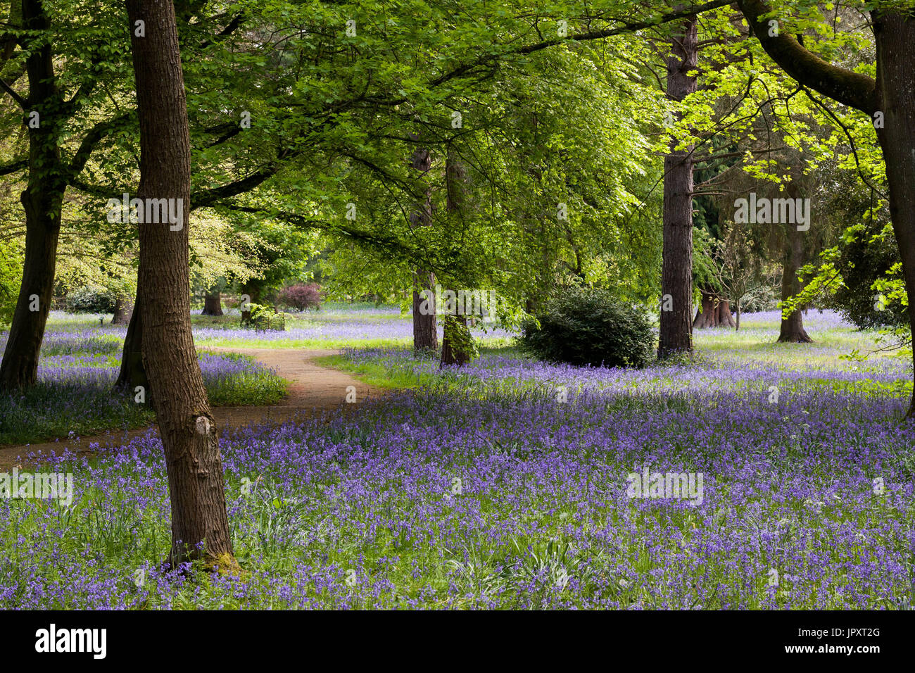 Lynford hall Banque de photographies et d’images à haute résolution - Alamy