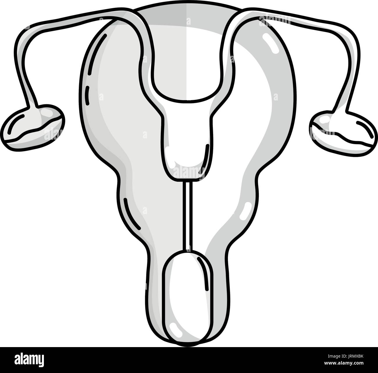 Les trompes de Fallope et l'utérus ligne organes femmes Image ...