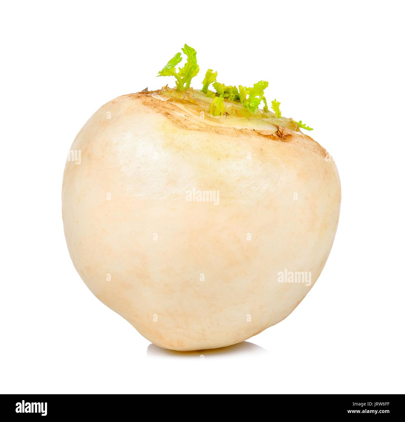 Navet blanc Banque de photographies et d’images à haute résolution - Alamy