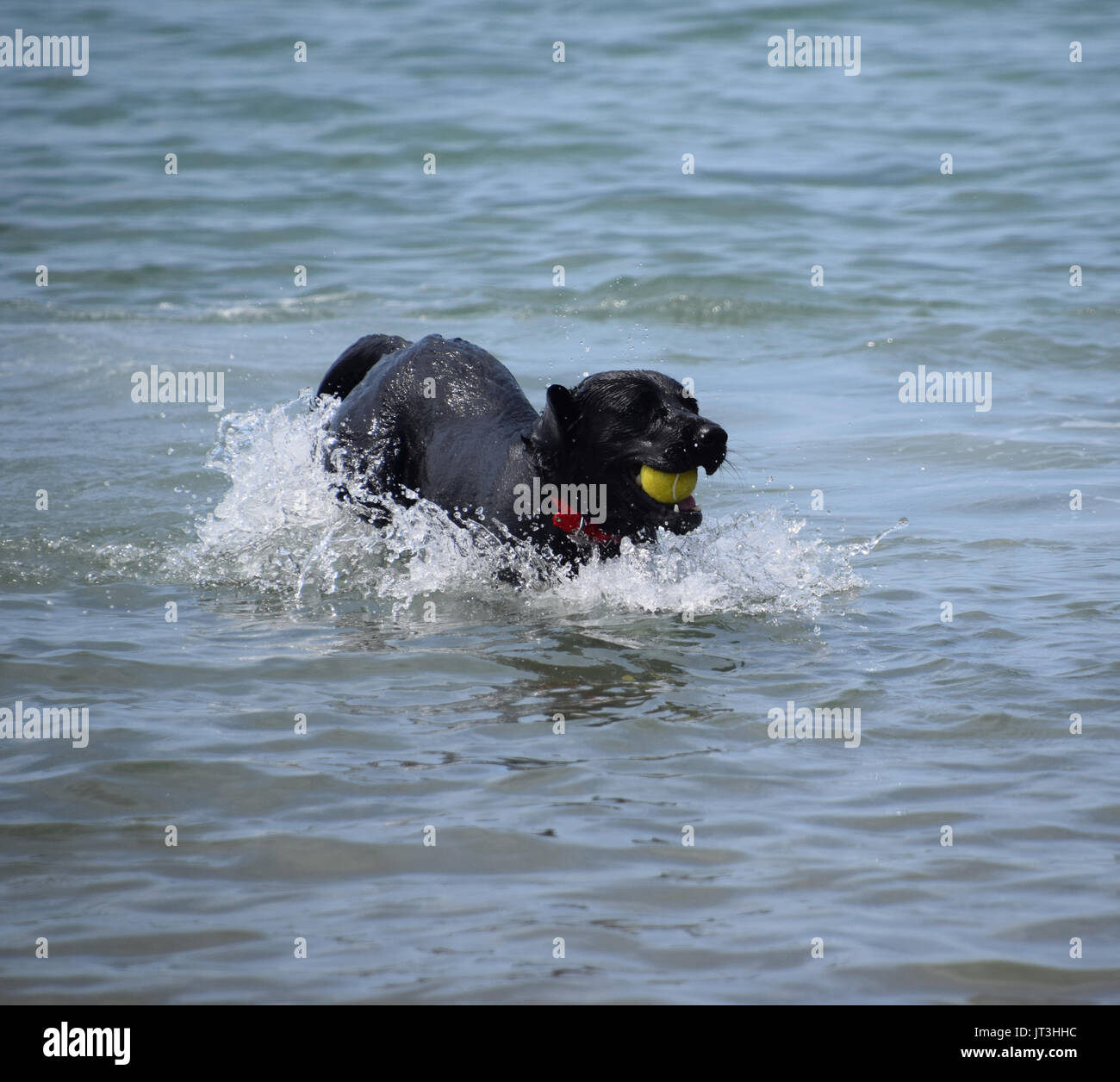 Mission accomplie Banque de photographies et d’images à haute ...