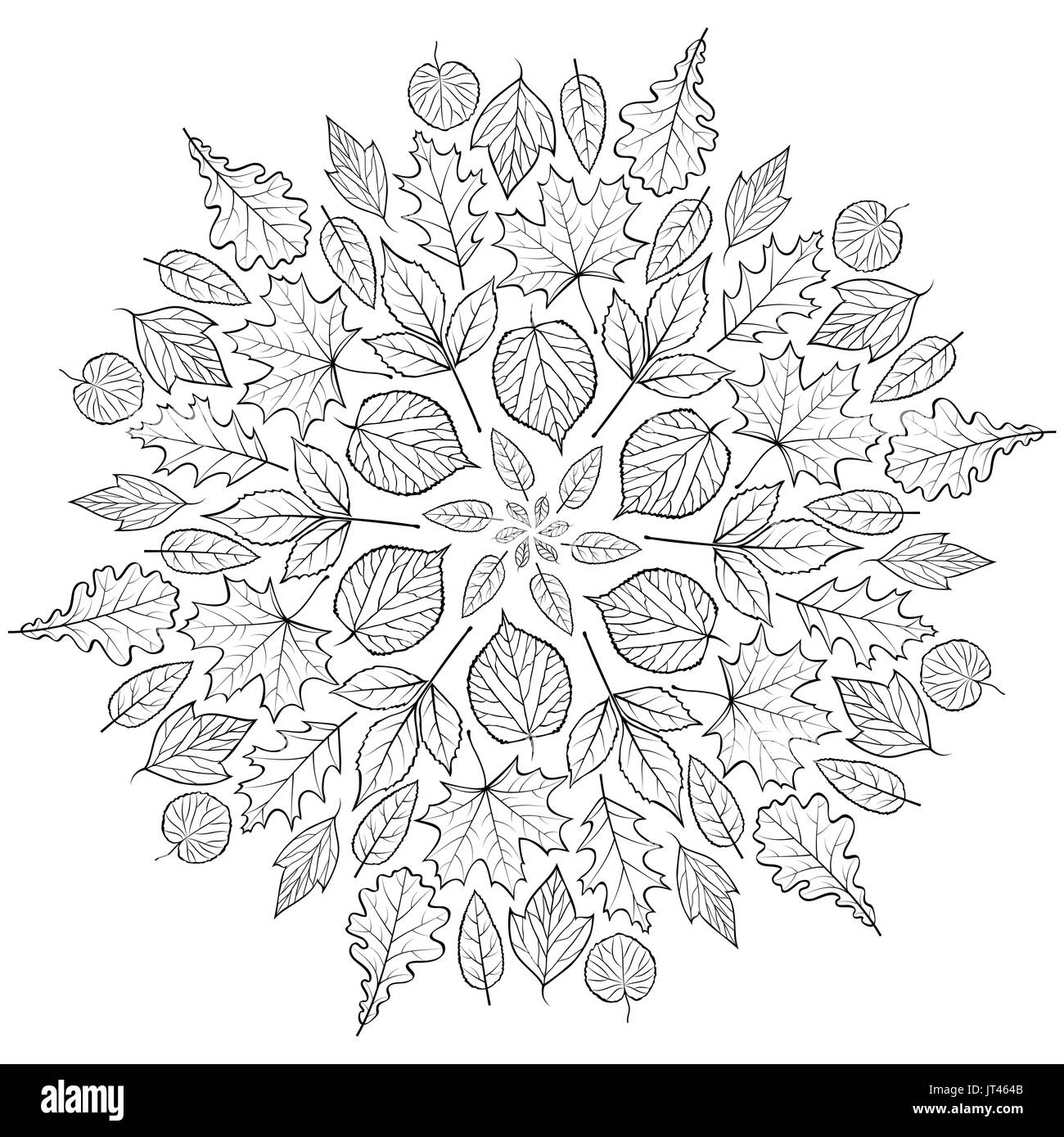 Mandala d'automne avec les feuilles d'automne sur fond blanc. Coloriage ...