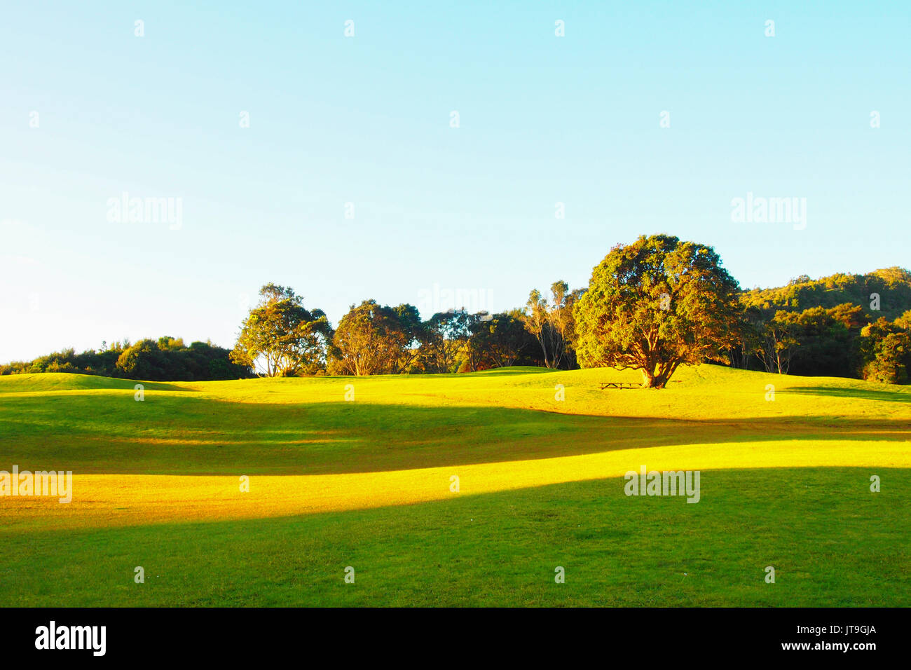 Waitakere ranges nz Banque de photographies et d’images à haute ...