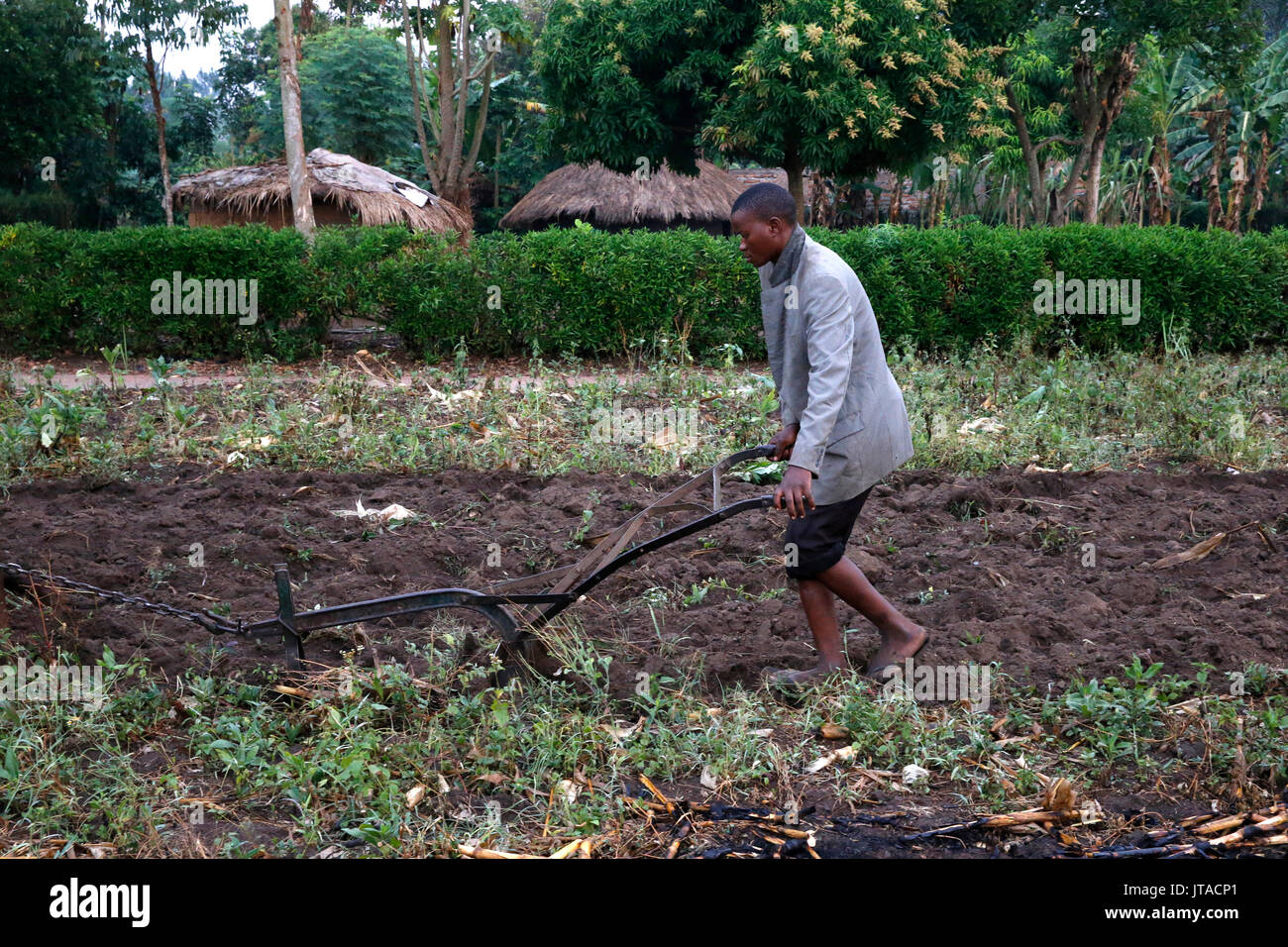 Labourer ou Banque de photographies et d’images à haute résolution - Alamy
