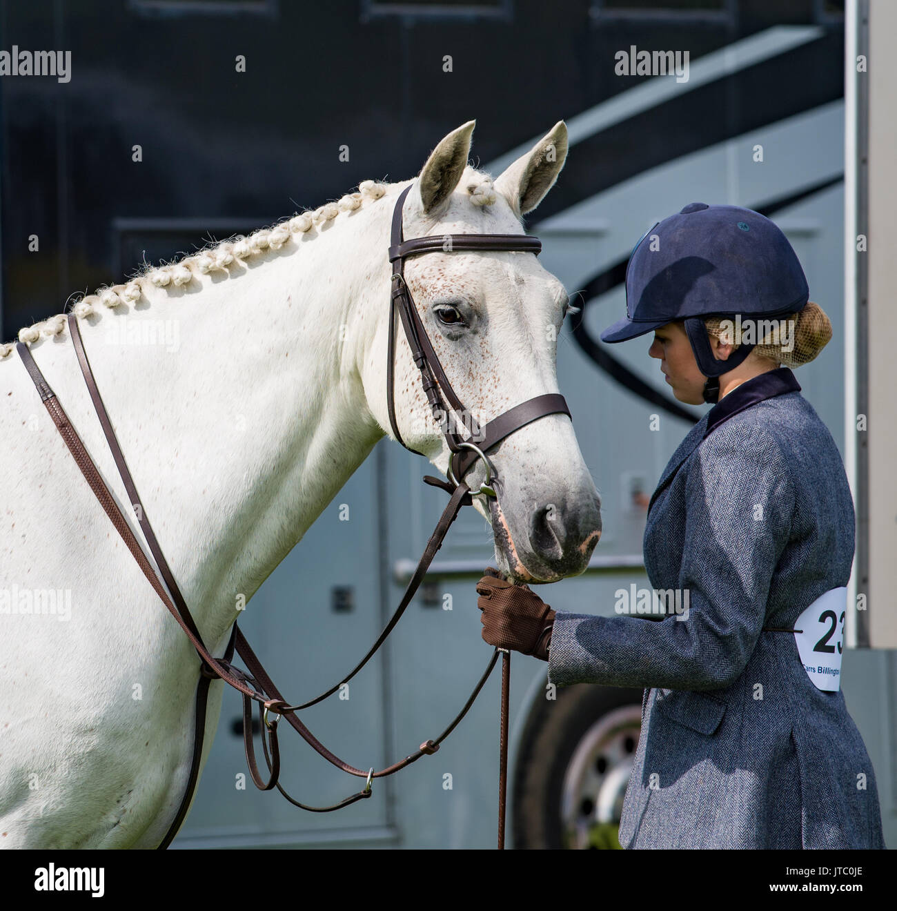Dressage cheval Banque de photographies et d’images à haute résolution ...