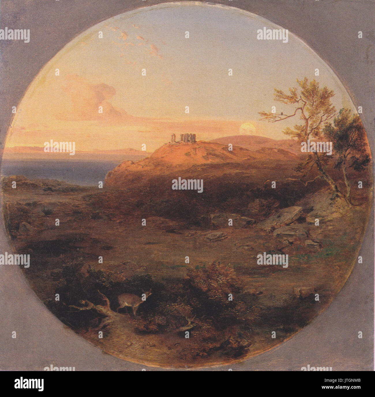 Rottmann aegina Banque de photographies et d’images à haute résolution ...