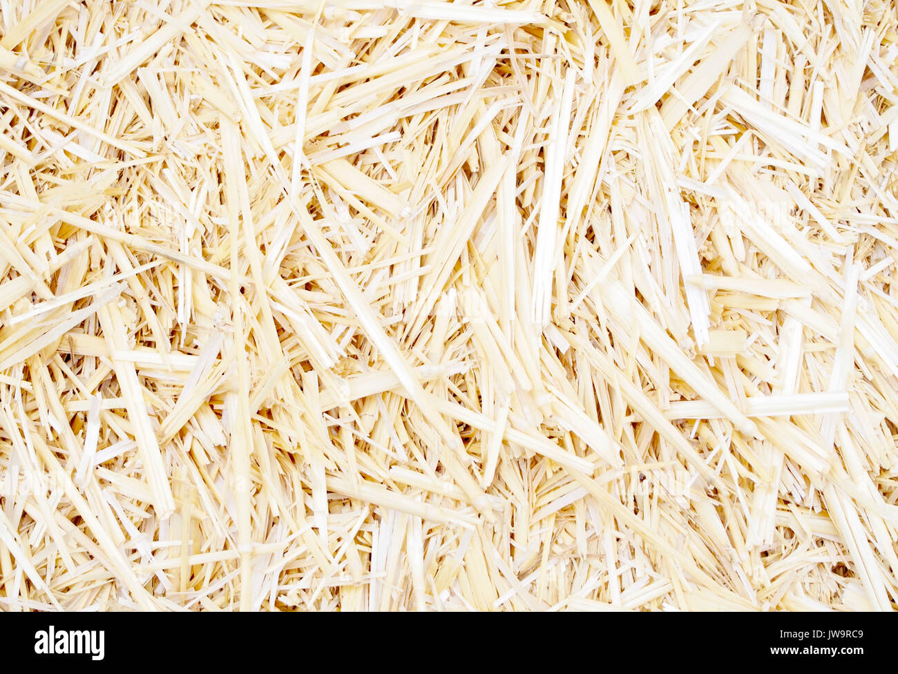 Texture de paille Banque de photographies et d’images à haute ...