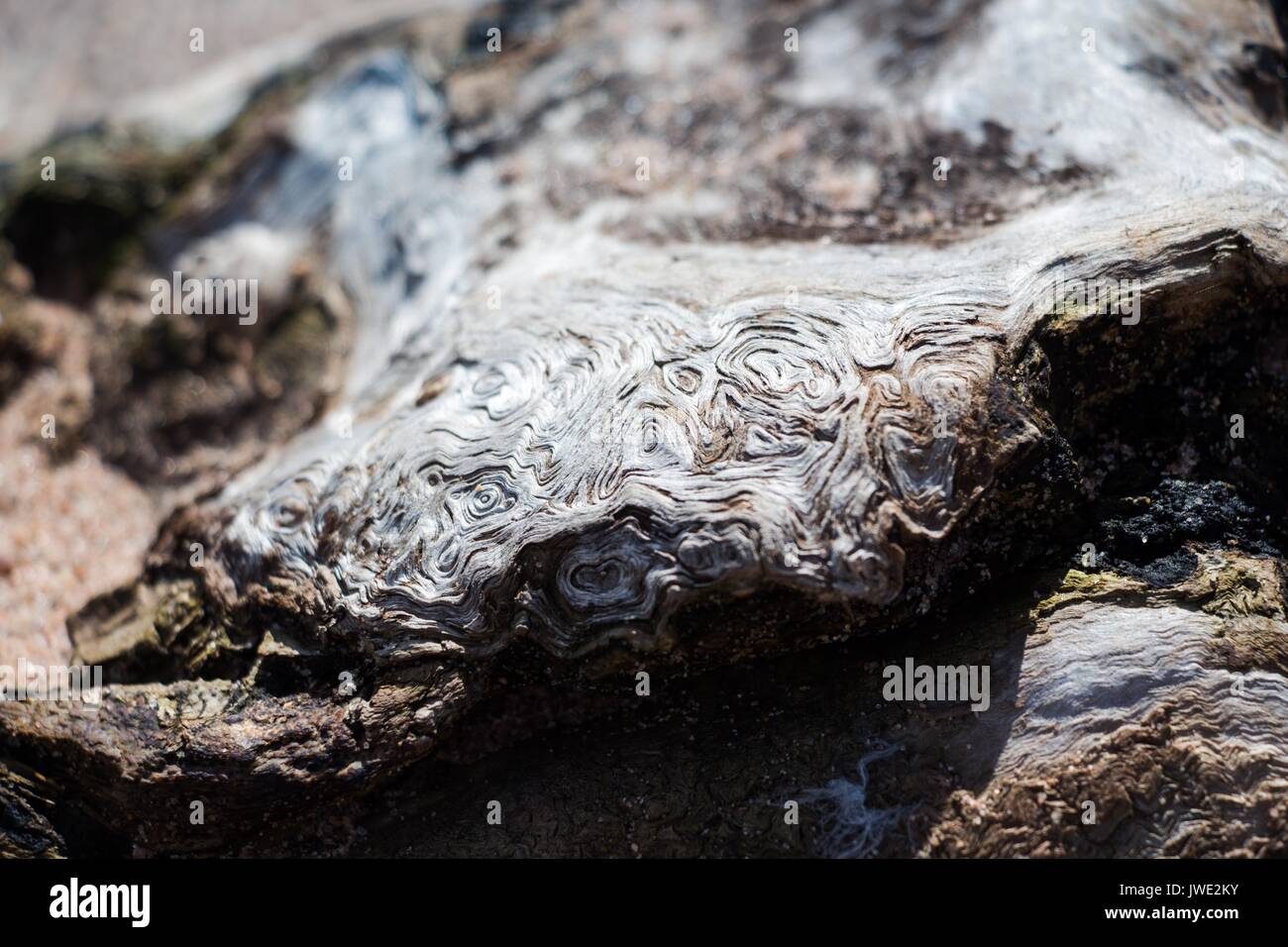 Beau bois Banque de photographies et d’images à haute résolution - Alamy
