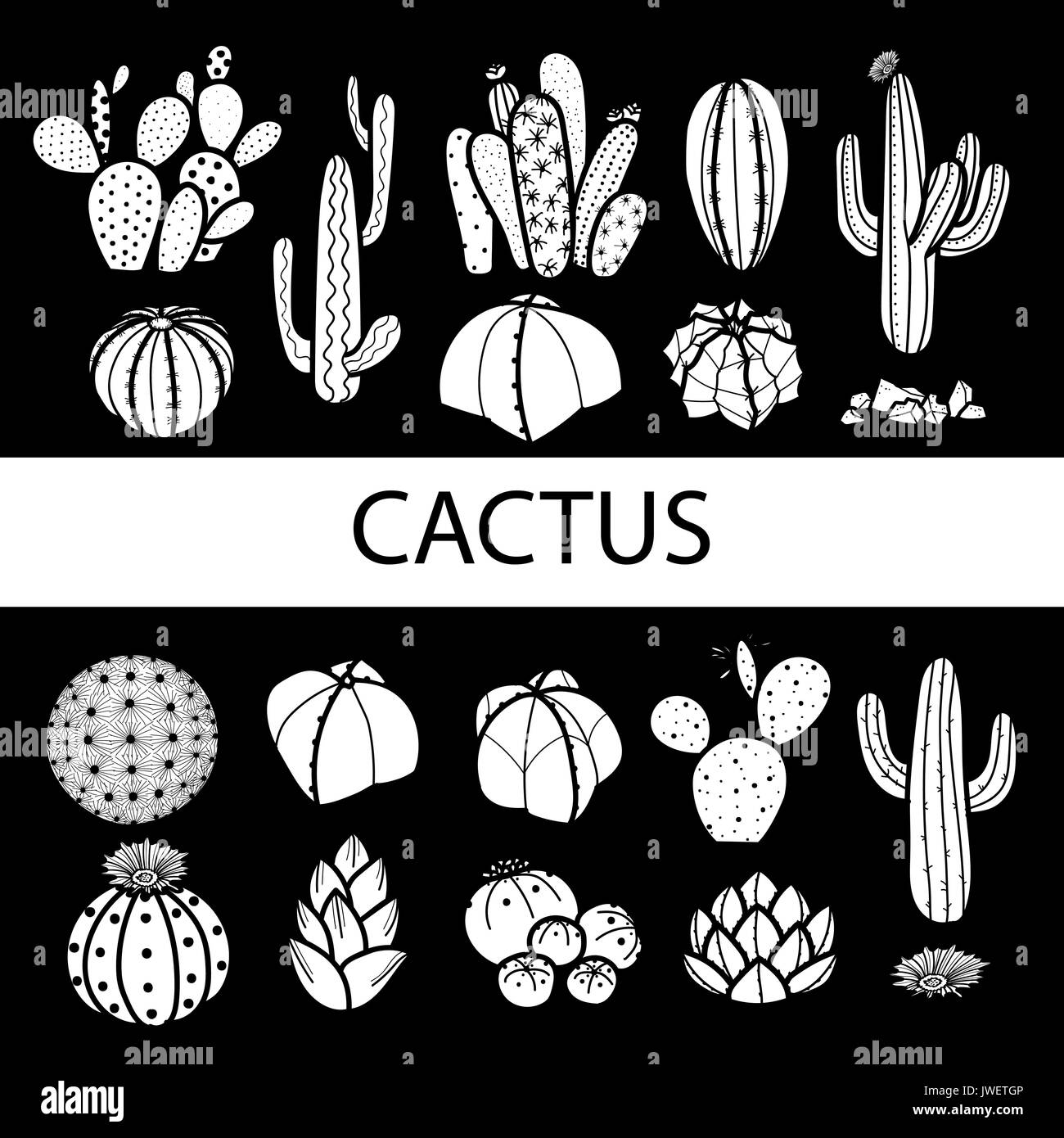 Ensemble de cactus et plantes grasses isolés en avion blanc. hand drawn ...