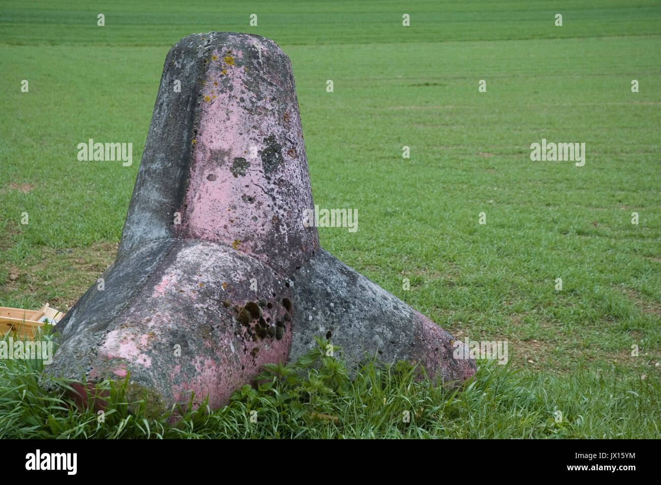 Tetrapod structure Banque de photographies et d’images à haute ...