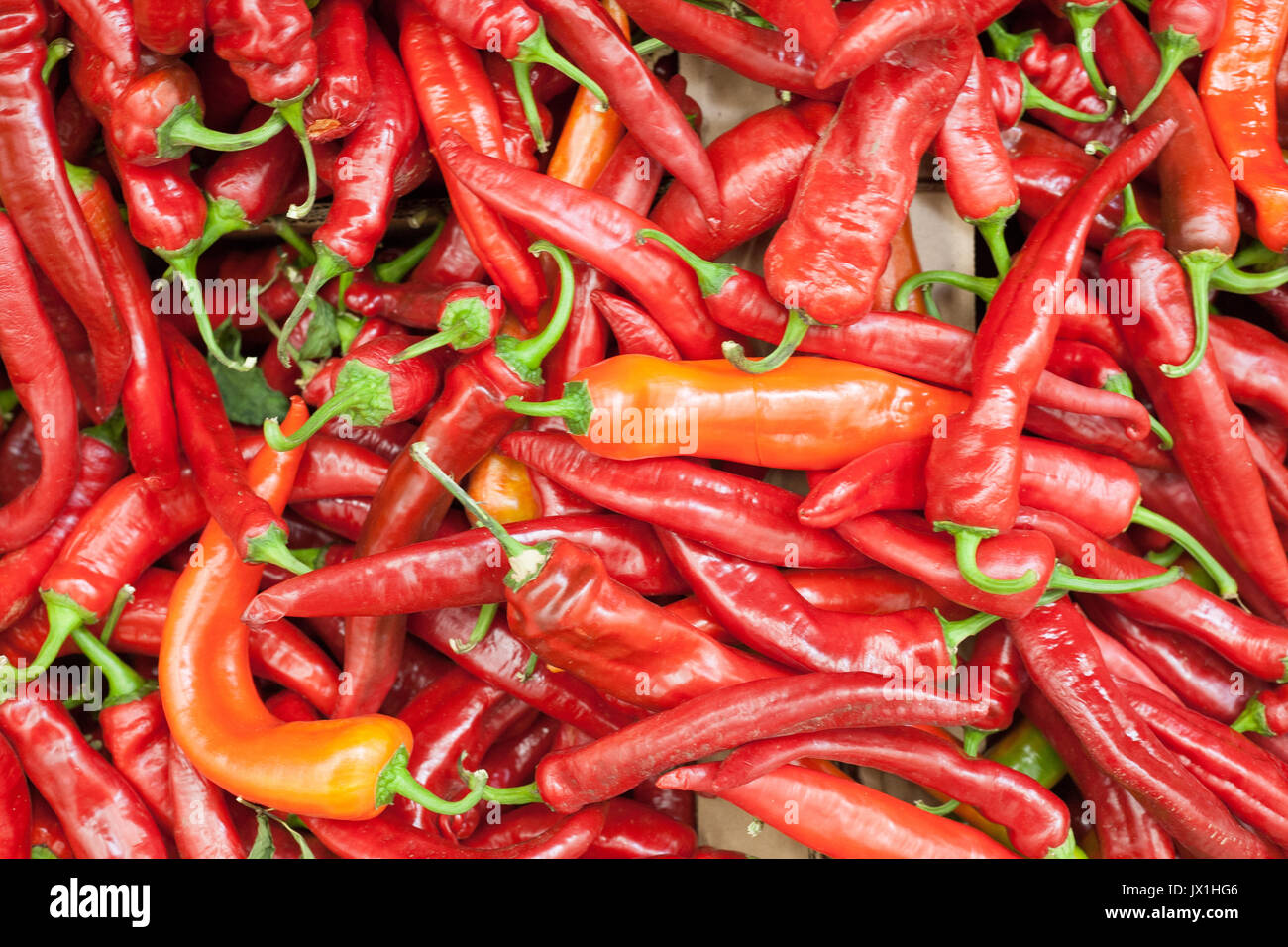 Le poivron de texture de fond de poivron rouge, piment rouge, piment ...