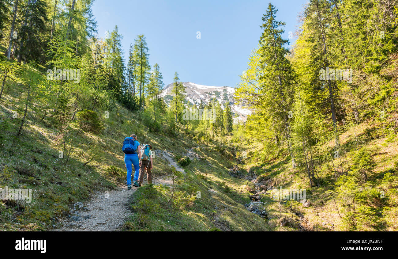 Brook bed Banque de photographies et d’images à haute résolution - Alamy