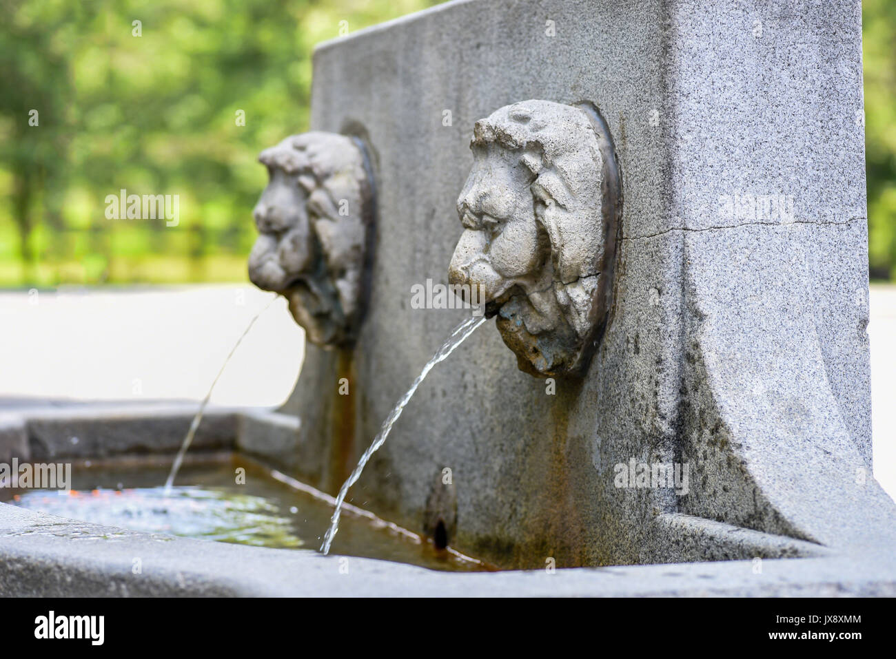 Concrete spitting water fountain Banque de photographies et d’images à ...