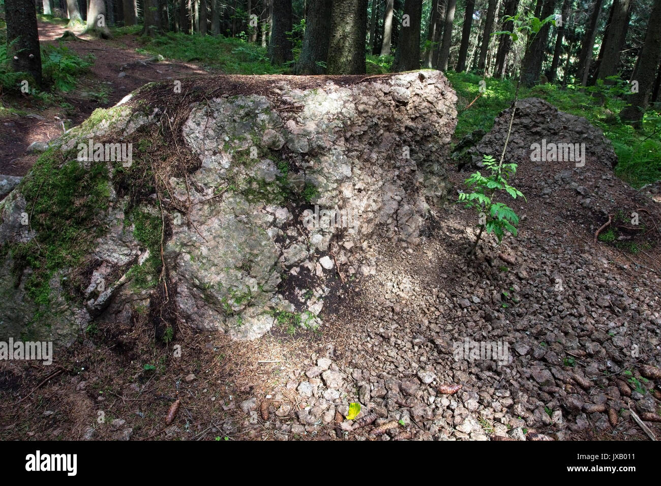 Rapakivi granite Banque de photographies et d’images à haute résolution ...