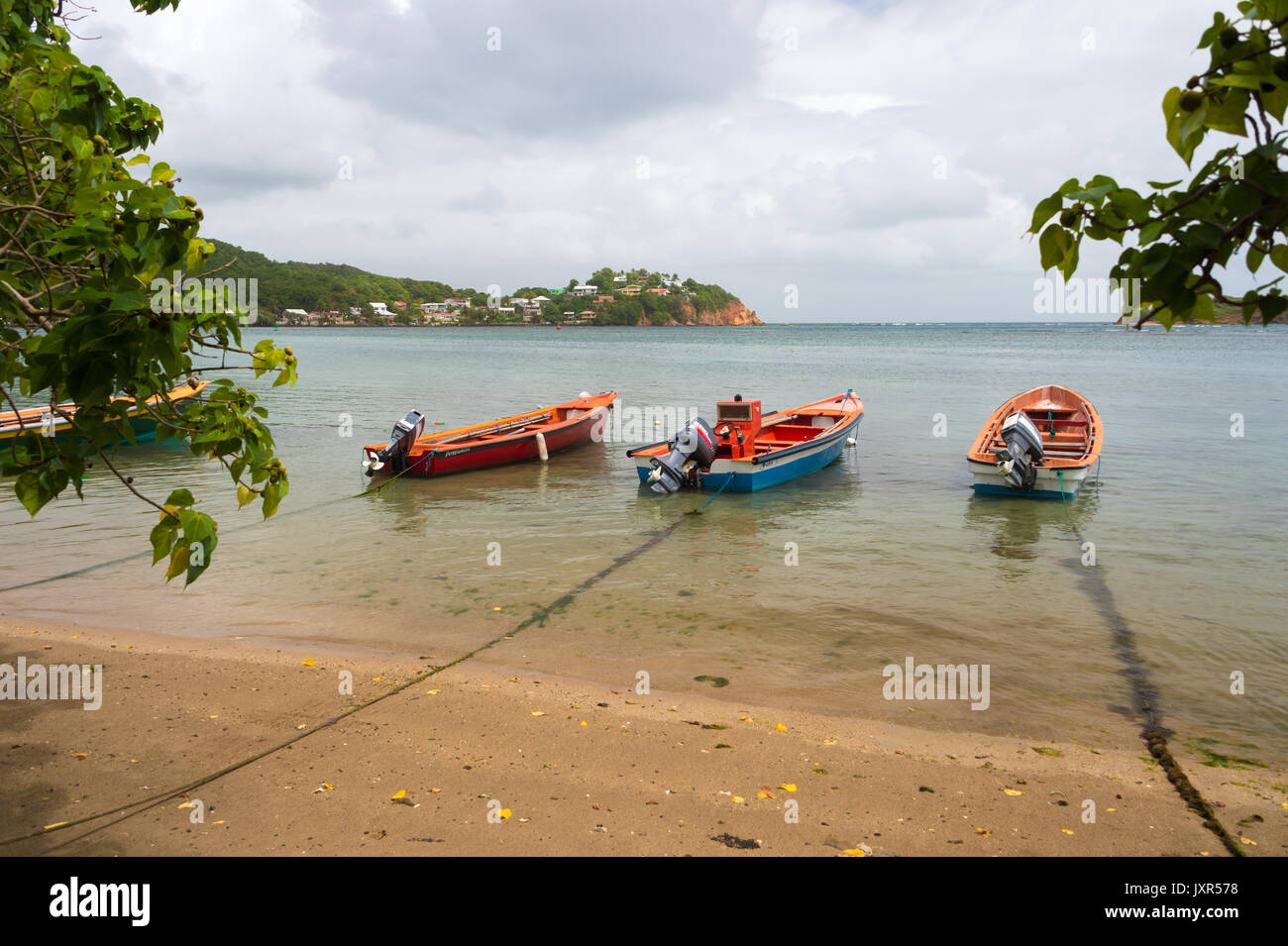 Bateaux de pêche colorés en Tartane, presqu'île de la Caravelle ...