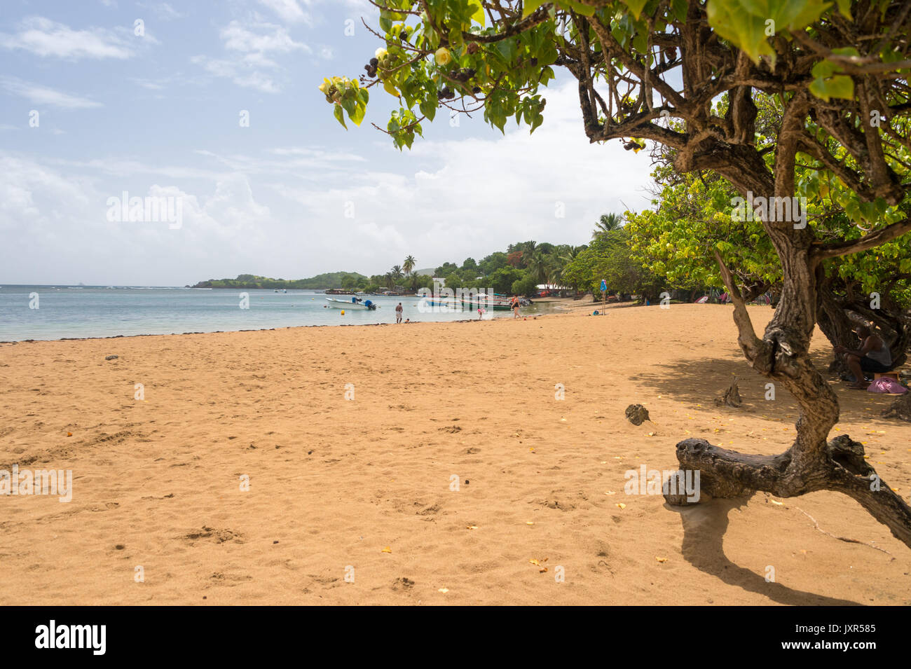 Plage de la tartane Banque de photographies et d’images à haute ...