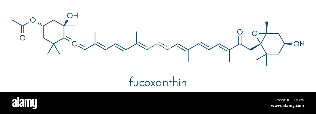 La fucoxanthine algues brunes, molécule de pigment. Certains des ...